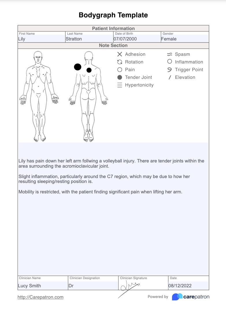 Bodygraph Template & Example | Free PDF Download